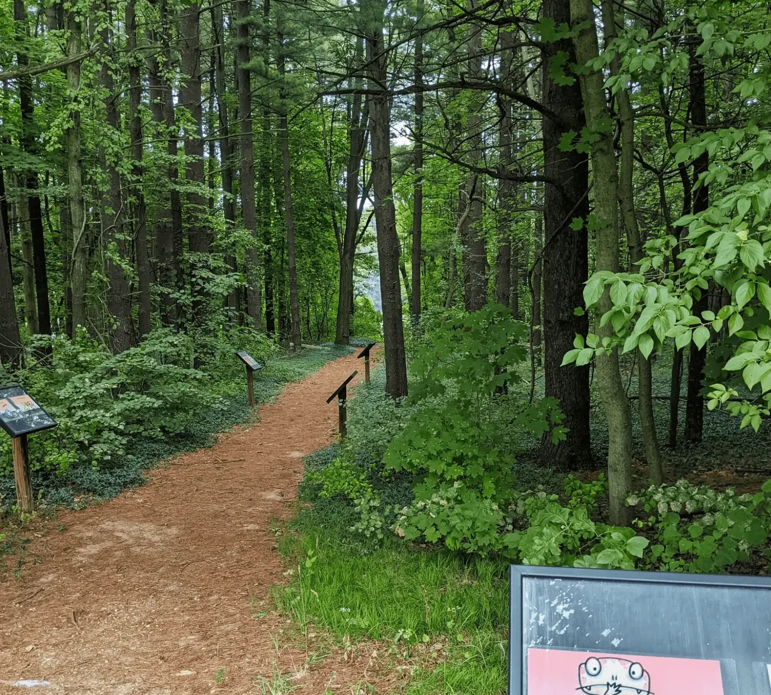 Highland Twp Library – Enrich, Inspire, Empower