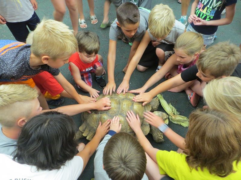 Highland Twp Library – Enrich, Inspire, Empower